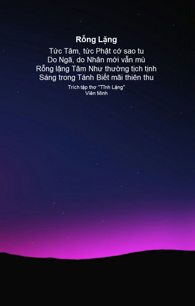 Nekkhamma Pāramī | Ngo Viet Liem