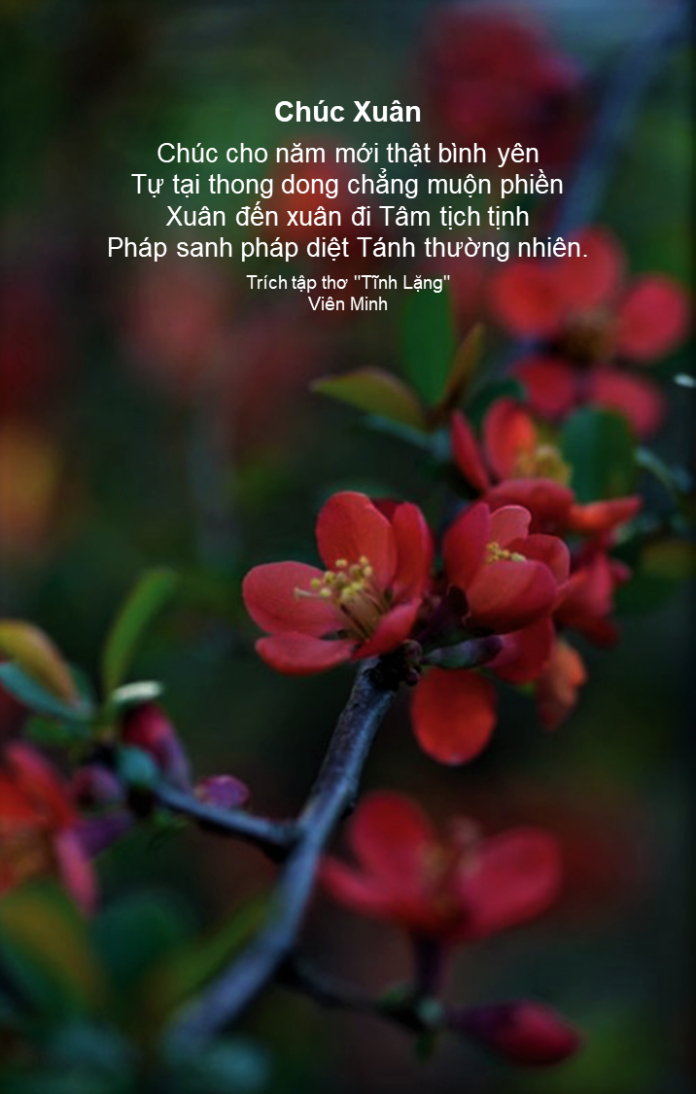 Chúc Xuân | Ngo Viet Liem