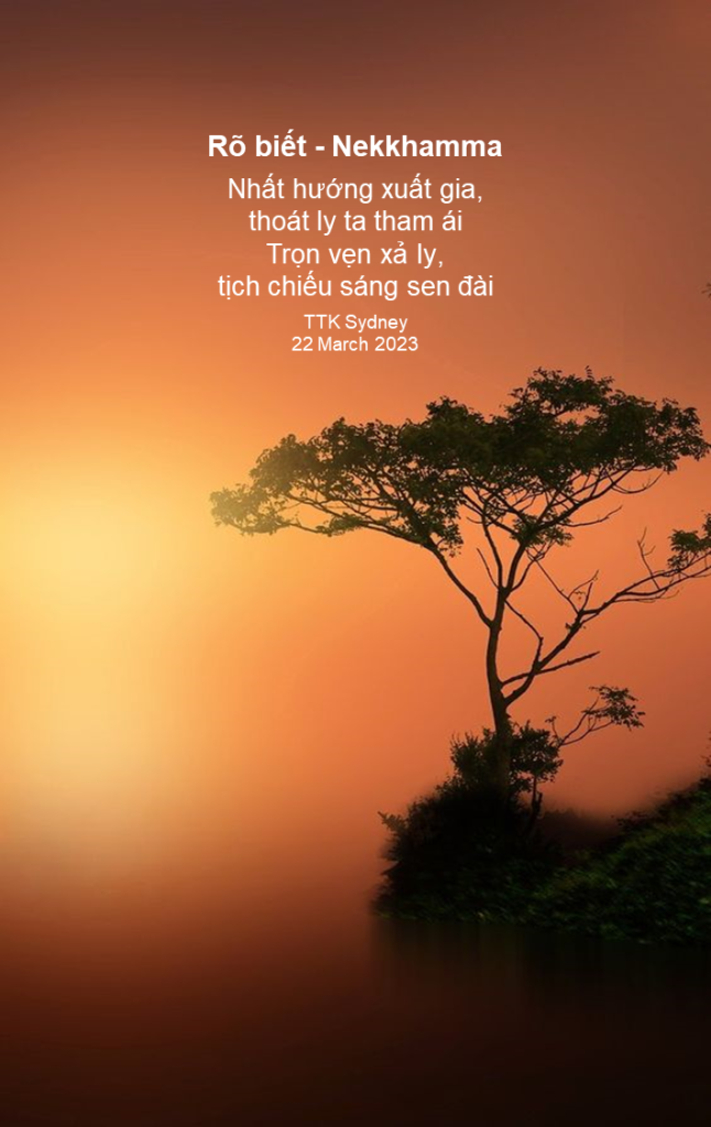 Rõ biết 28 – Nekkhamma Pāramī | Ngo Viet Liem